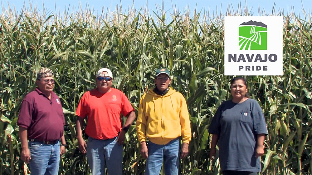 Navajo Crops